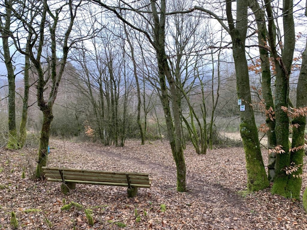Johannes Kühn Wanderweg – Gemeinde Tholey